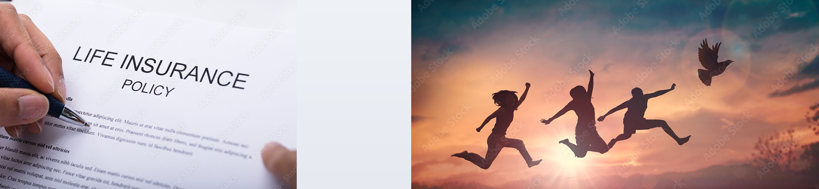 Individual Life Insurance - B.L. Williams Insurance Services